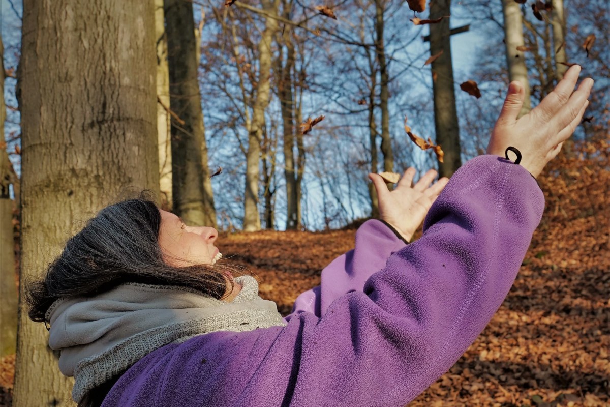 Die eigenen Ideen freilassen – Der Waldbaden und Auszeiten Blog